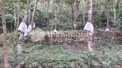 Residential Land for Sale at Ranni, Pathanamthitta