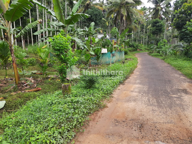 4 Acre Agricultural Land for Sale in Valavayal, Wayanad